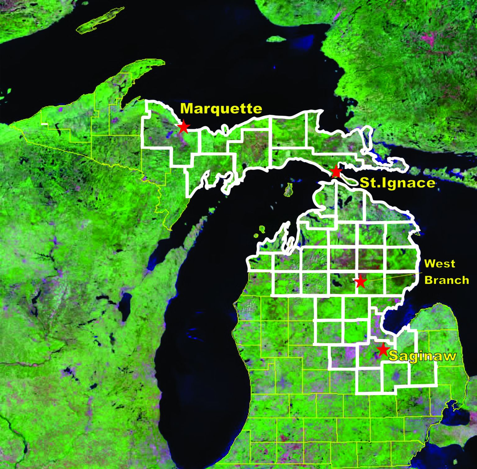 Griffin Beverage Company – Michigan Beer Distributor